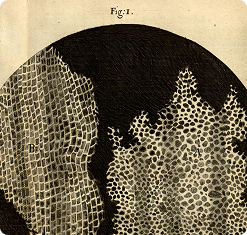 From Lenses to Semi-Permeable Capsules: How Scientists Keep Getting ...