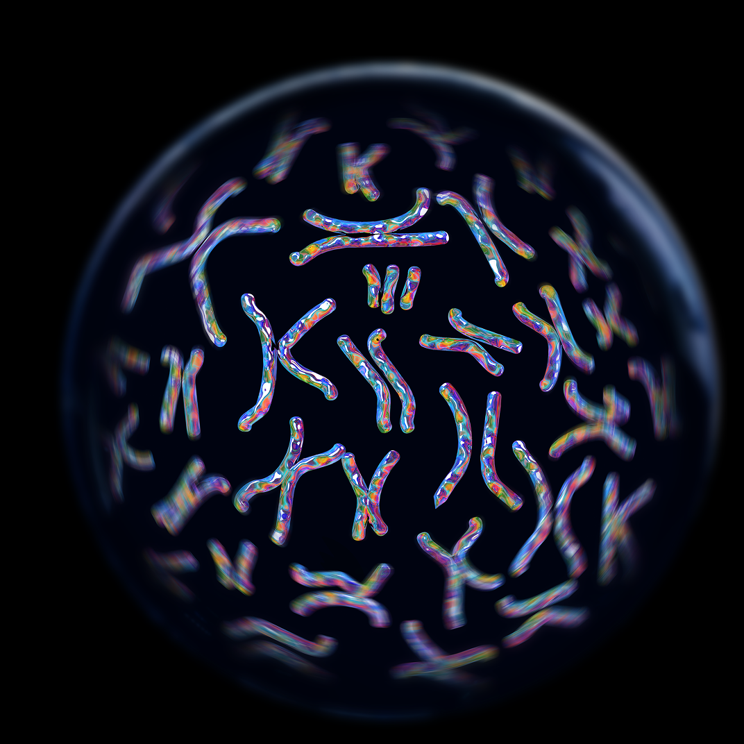 Next-Generation Karyotyping: WGA-Free Single-Cell CNV Profiling ...